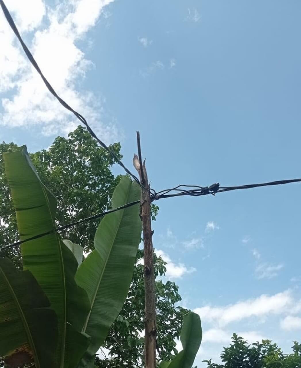 7 Tahun Kabel JTM 600 Meter Pakai Tiang Bambu, Sudah Timbulkan Korban