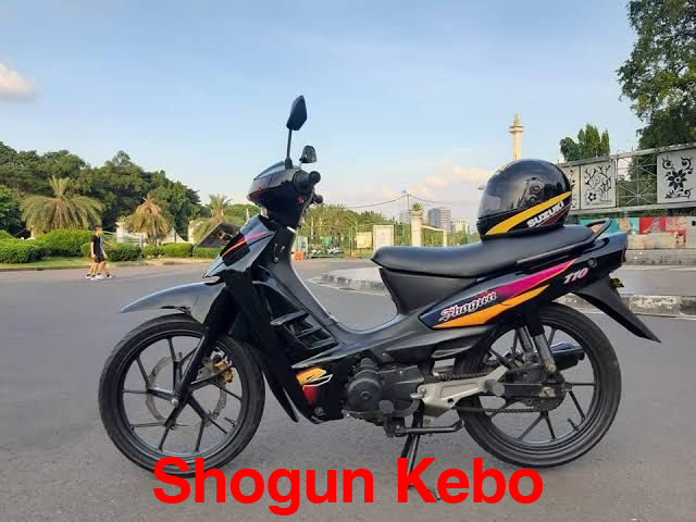 Shogun Kebo Berhasil Capai Kejayaan, Ternyata Ini Loh 7 Tipe Suzuki ...