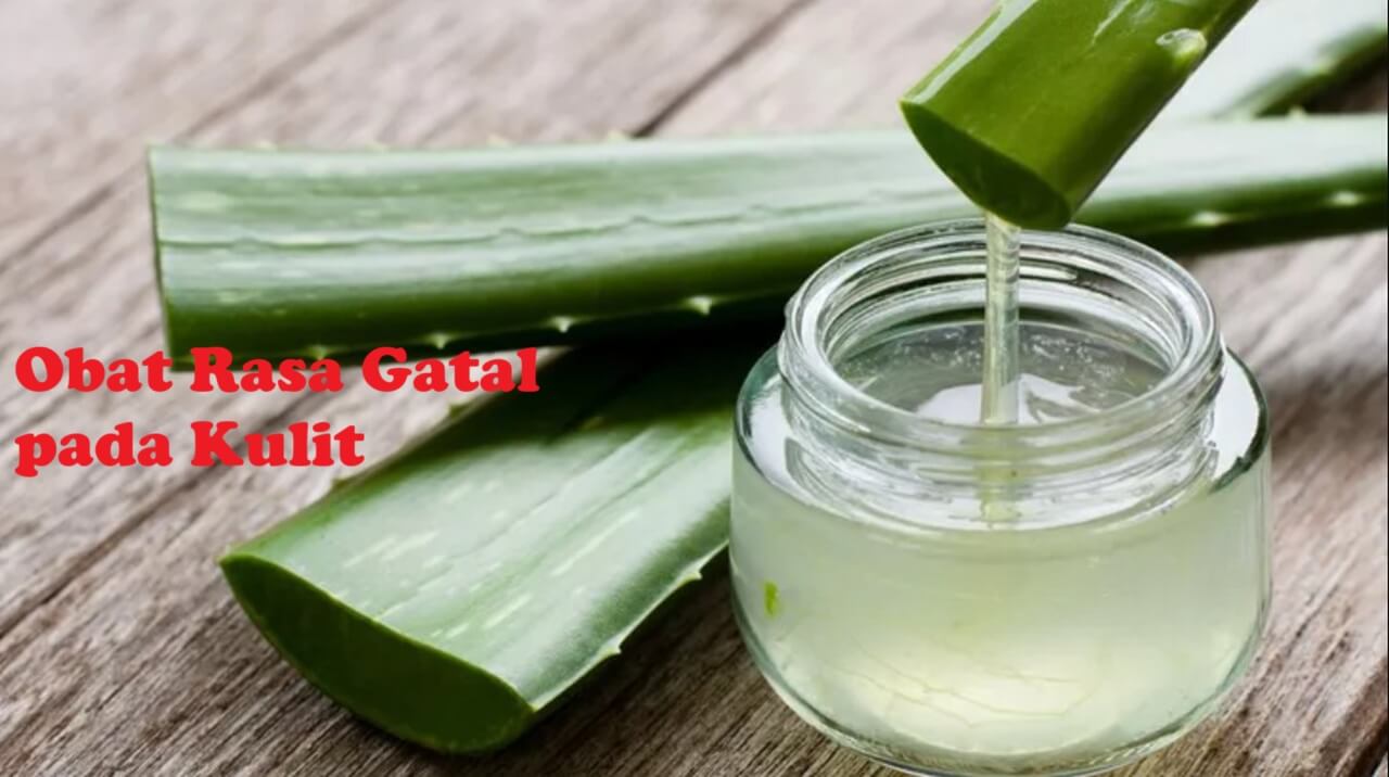 Kalahkan Obat Apotik, ini 7 Bahan Alami Ampuh Obati Rasa Gatal pada Kulit