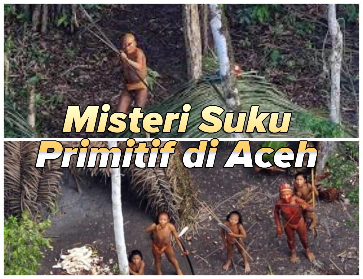 Suku Mante Manusia Bertubuh Kerdil dan Tinggal di Hutan, Simak Ciri Khasnya